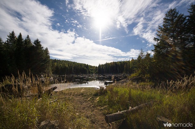 Hôtel Sacacomie: faire un avec la forêt, avec le lac