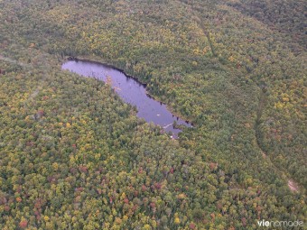 Hôtel Sacacomie: faire un avec la forêt, avec le lac